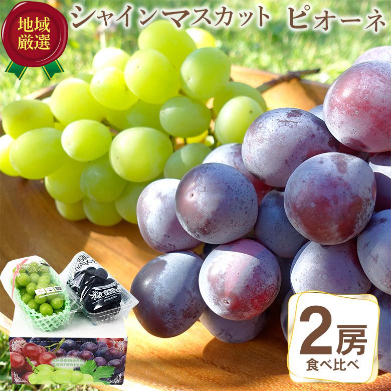 送料無料 地域厳選 シャインマスカット ピオーネ ニューピオーネ 食べくらべ 2房 セット 1房 約 320g 葡萄 岡山 山梨 長野 家庭用 ギフト マスカット : くだもの観覧車 - 通販 ...