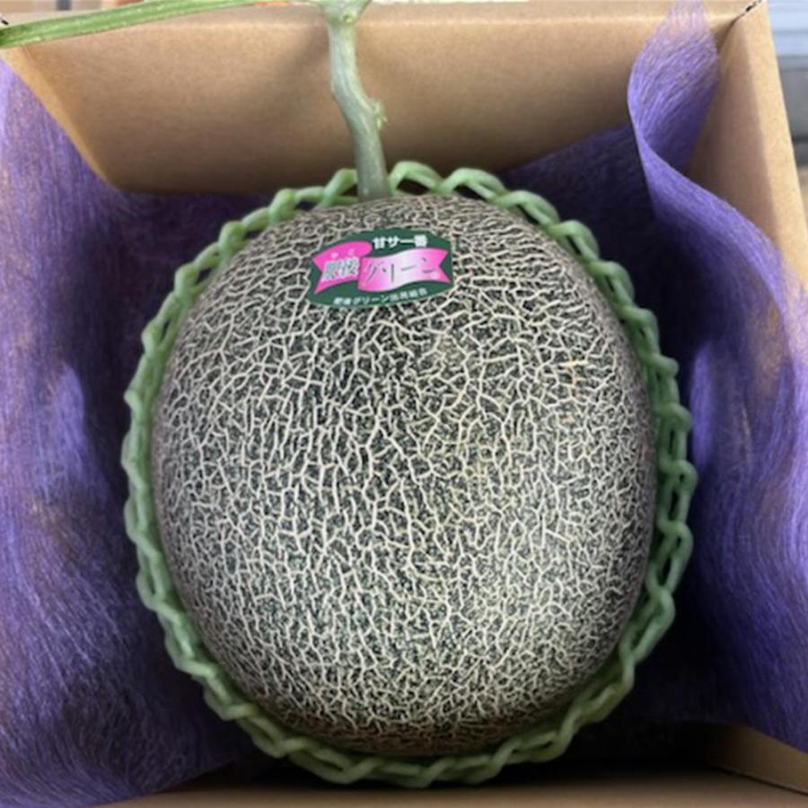 肥後グリーンメロン 大玉 1玉入り(1.6kg以上） 熊本産 80サイズ : 311-1tama : フルーツ・甘味屋GGY - 通販 - Yahoo!ショッピング