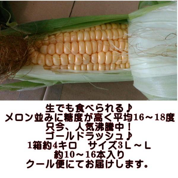 とうもろこし 品種お任せ ゴールドラッシュなど トウモロコシ【1箱約4kg サイズ3L〜L（約10〜16本入り）】【クール便発送】熊本産 80サイズ : フルーツ・甘味屋GGY - 通販 ...