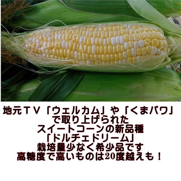 とうもろこし 品種お任せ ゴールドラッシュなど トウモロコシ【1箱約4kg サイズ3L〜L（約10〜16本入り）】【クール便発送】熊本産 80サイズ : フルーツ・甘味屋GGY - 通販 ...