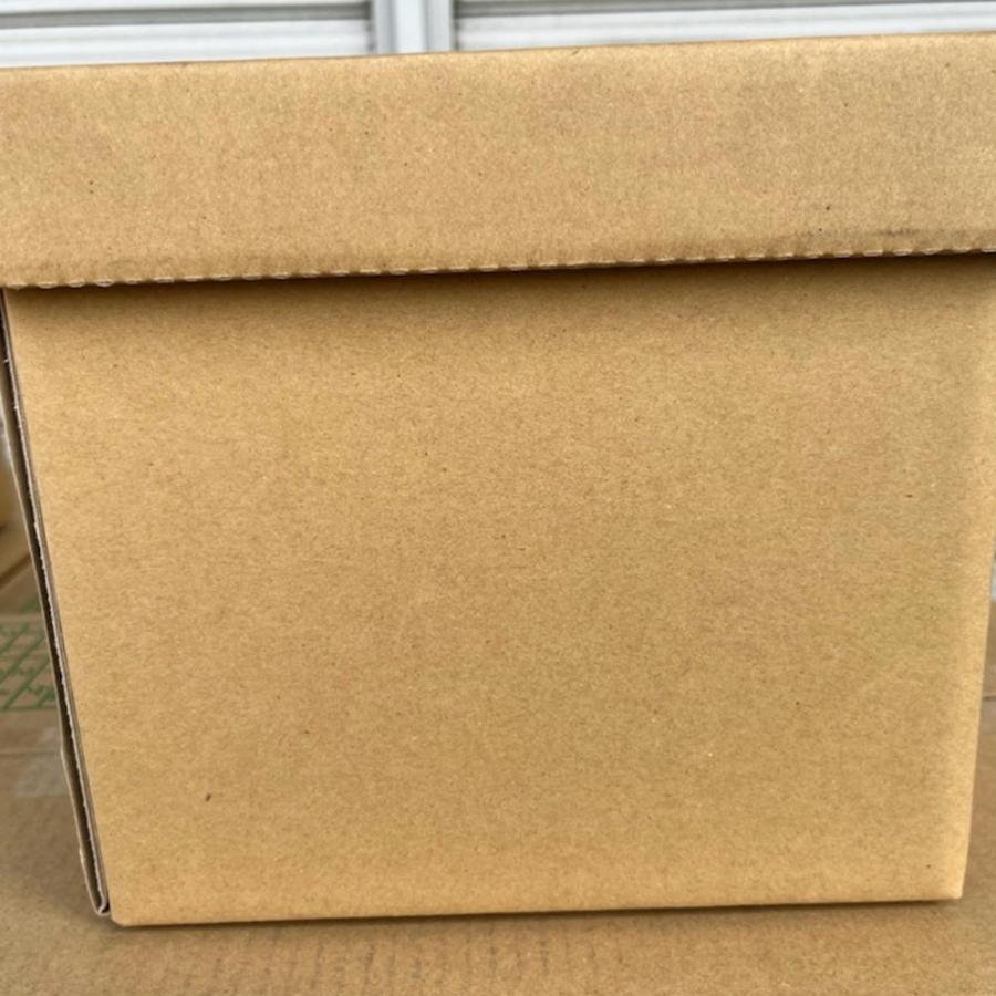 赤肉メロン ルビーロッソ 1玉入り（1玉1.6kg以上） 大玉 熊本産 赤肉 アールス メロン マスクメロン 80サイズ : フルーツ・甘味屋GGY - 通販 - Yahoo!ショッピング