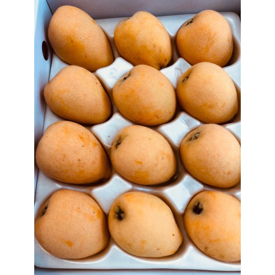 甘香 長崎産 4L~6Lサイズ 秀品 約1.3kg 化粧箱 : 果物専門店 フルーツ千里 - 通販 - Yahoo!ショッピング