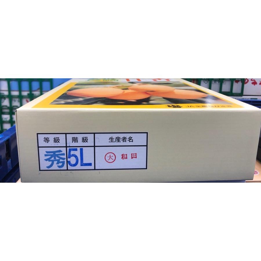 甘香 長崎産 4L~6Lサイズ 秀品 約1.3kg 化粧箱 : 果物専門店 フルーツ千里 - 通販 - Yahoo!ショッピング
