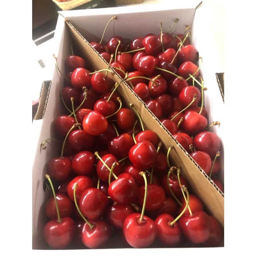 お中元 さくらんぼ 紅王 山形産 秀品 2L~4L 約1kg バラ詰め : 果物専門店 フルーツ千里 - 通販 - Yahoo!ショッピング