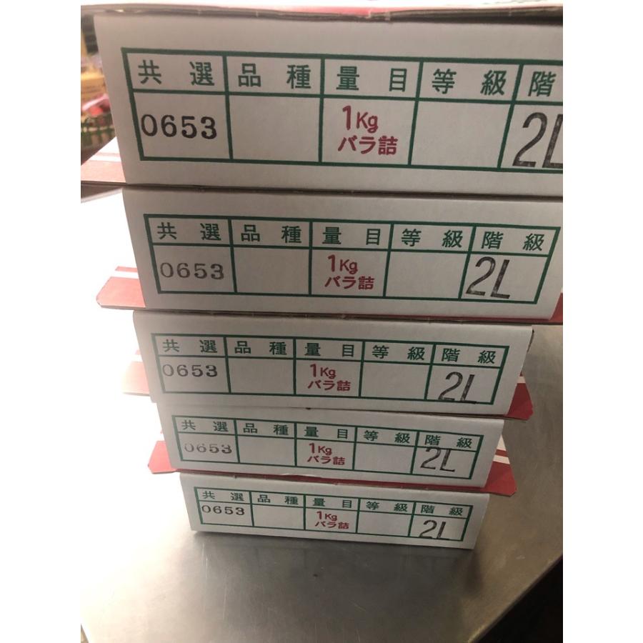 お中元 さくらんぼ 紅王 山形産 秀品 2L~4L 約1kg バラ詰め : 果物専門店 フルーツ千里 - 通販 - Yahoo!ショッピング