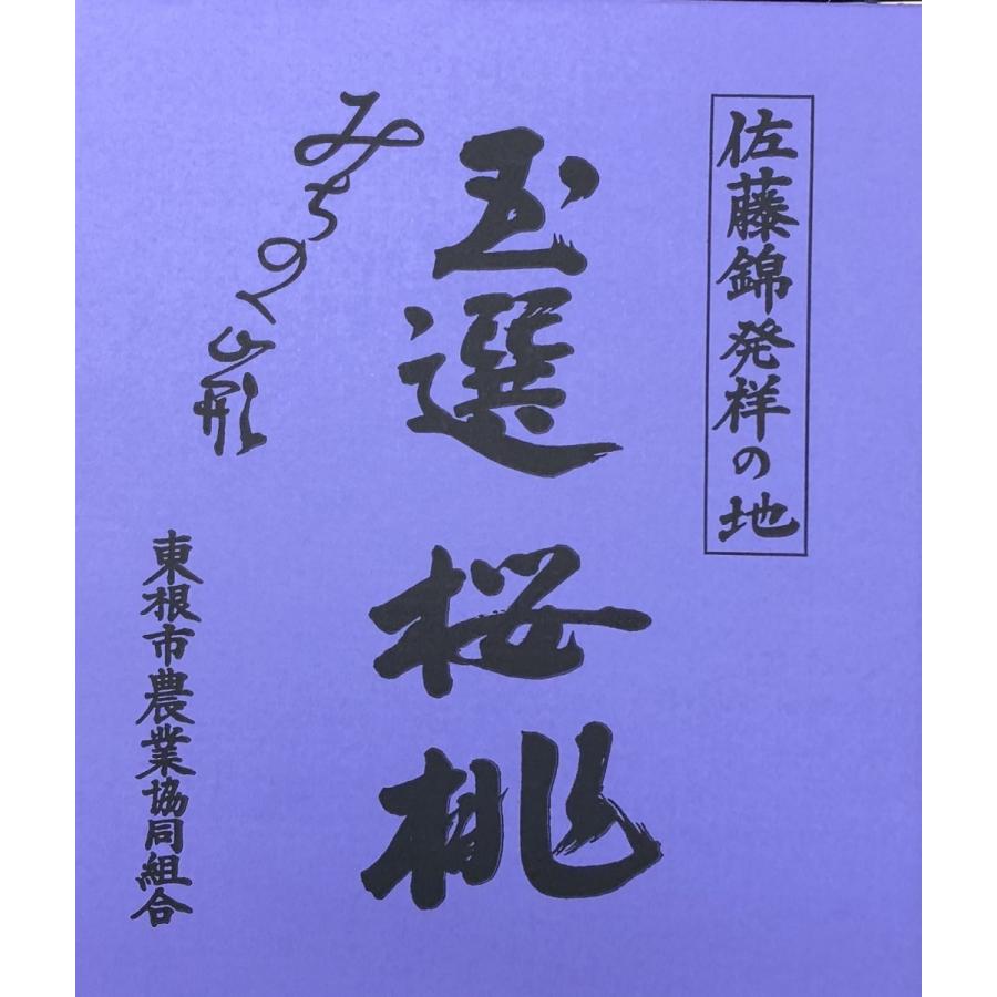 お中元 さくらんぼ 紅てまり 山形産 特秀 2L~3Lサイズ 大粒 500g 化粧箱 : 果物専門店 フルーツ千里 - 通販 - Yahoo!ショッピング