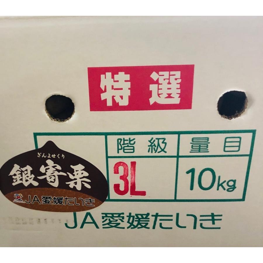 栗 銀寄 熊本産 愛媛産 茨城産 3L または 4L 1kg : 果物専門店 フルーツ千里 - 通販 - Yahoo!ショッピング