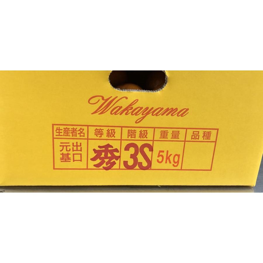 みかん 俊果 和歌山産 2s~3sサイズ 約5kg : 果物専門店 フルーツ千里 - 通販 - Yahoo!ショッピング