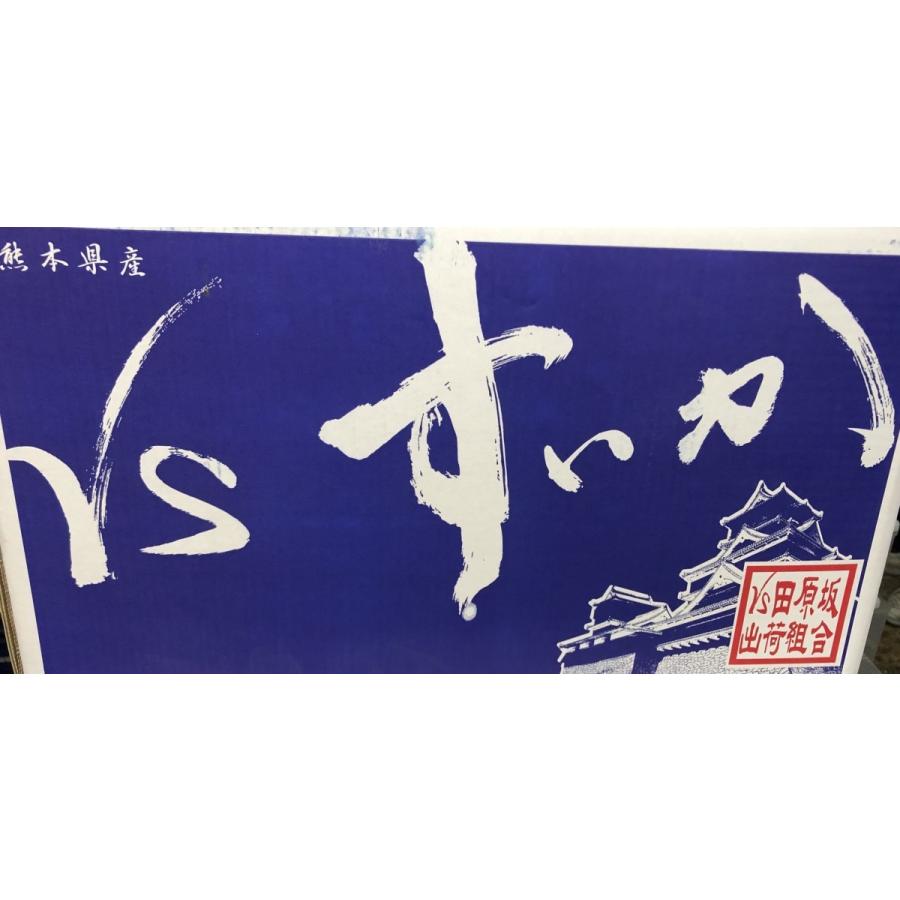 熊本産 植木 VSすいか 3L~4Lサイズ 秀品 大玉 1個入り 約9kg以上 熊本産 植木 VSすいか 3L~4Lサイズ 秀品 大玉 1個入り 約9kg以上
