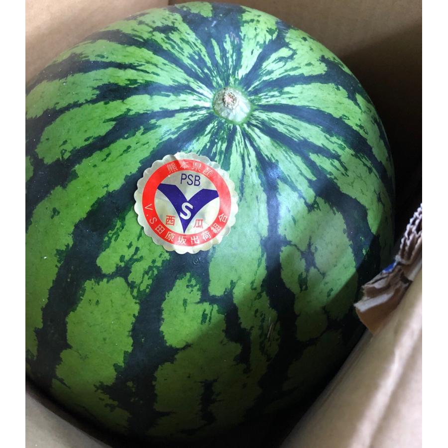 熊本産 植木 VSすいか 3L~4Lサイズ 秀品 大玉 1個入り 約9kg以上 熊本産 植木 VSすいか 3L~4Lサイズ 秀品 大玉 1個入り 約9kg以上