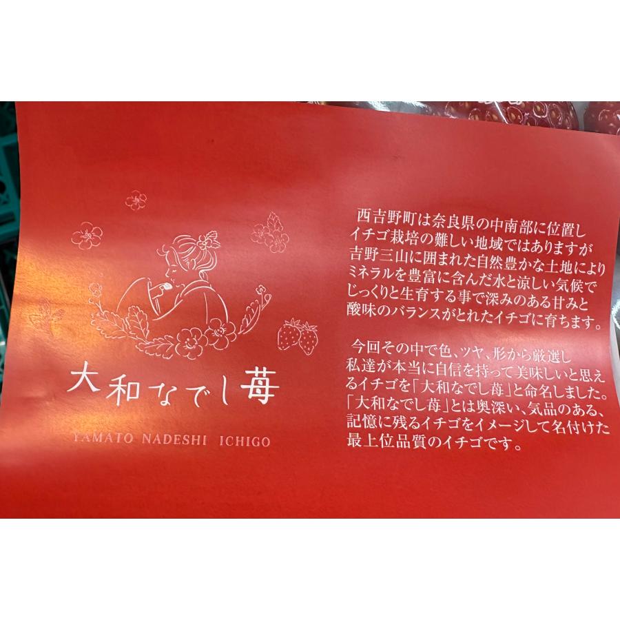 いちご 大和なでし苺 ならあかり 奈良産 2L~5Lサイズ×2パック : 果物専門店 フルーツ千里 - 通販 - Yahoo!ショッピング