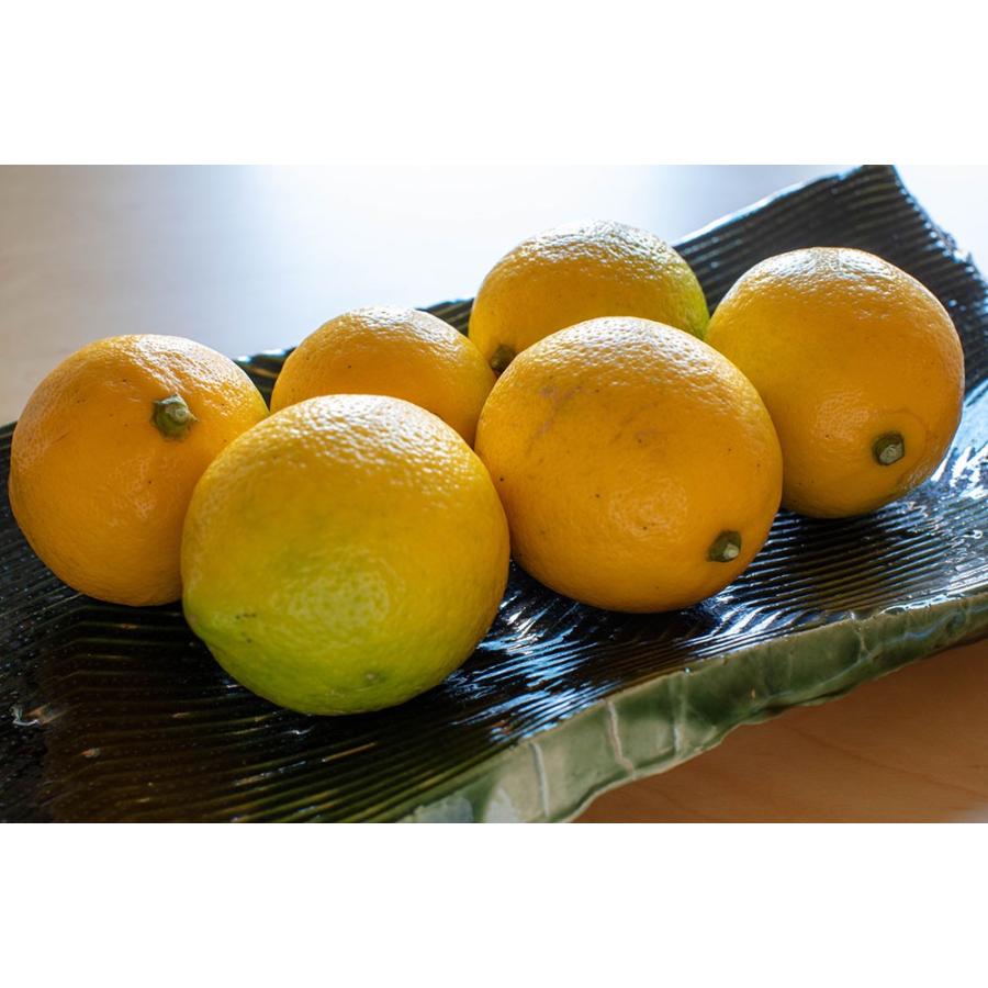湘南プライム有機レモンライム サイズ混合 3kg 有機JAS (神奈川県小田原 自然園いしわた農場) 産地直送 :ishiwata-primelemon-mix3k:ふるさと21Yahoo店 ...