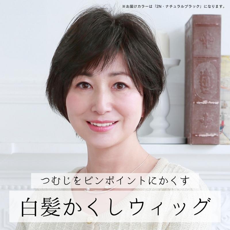 ウィッグ 部分 かつら カツラ ショート ポイント クリップ ストレート プリシラ 白髪かくしウィッグ つむじタイプ ナチュラルブラック ...