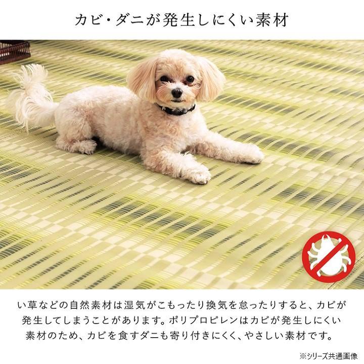 日本製 洗えるカーペット グリーン 本間1畳 約95.5×191cm 1090580121502 : 通販奉行 - 通販 - Yahoo!ショッピング