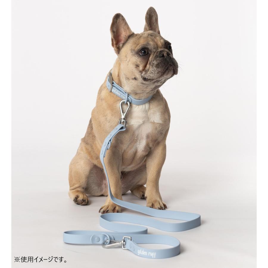 Golden Ruff ゴールデンラフ リード ブルー 95cm-156cm x 2cm GR-LEA-002 : 通販奉行 - 通販 ...