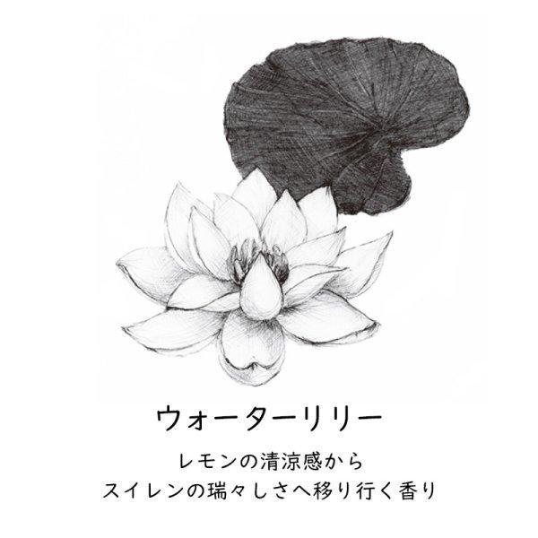 GRASSE TOKYO フレグランスソルト WL Water lily ウォーターリリー 60g(2回分) gtbs-004 : 1837479 : 通販奉行 - 通販 - Yahoo!ショッピング