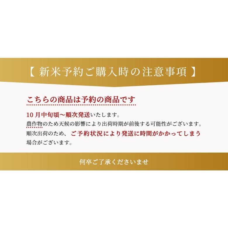 新米 予約 米 お米 30kg くまさんの輝き 熊本県産 令和6年産 玄米30kg 精米27kg 小分け無し : kagayaki-30kp : こめたつ - 通販 - Yahoo!ショッピング