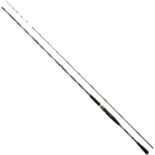 DAIWA（釣り） (先行予約) ダイワ (daiwa) 極鋭ヒラメ EX SS/MH-245 (2025年 9月新製品) : 釣具・フーガショップ1 - 通販 - Yahoo!ショッピング