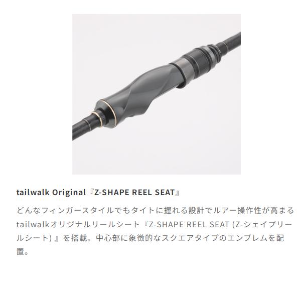 tailwalk（テイルウォーク） マイクロゲーマーSSD S74UL : フーガ