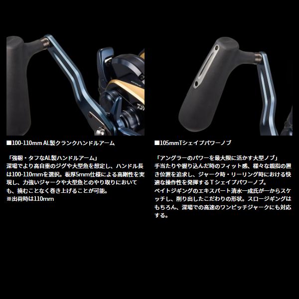 DAIWA(釣り) ダイワ (daiwa) 25 ソルティガ35H ベイトリール DAIWA(釣り) ダイワ (daiwa) 25 ソルティガ35H ベイトリール