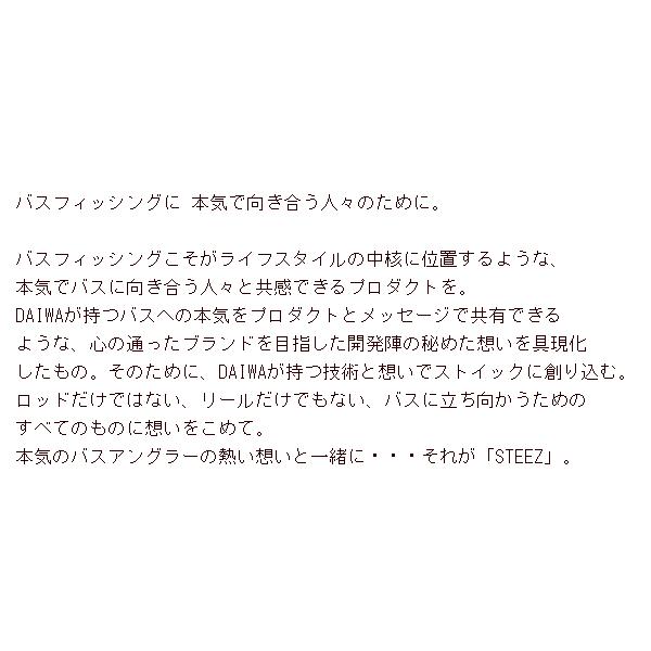 DAIWA（釣り） ダイワ (daiwa) スティーズ ベイトキャスティングモデル SC C66M/ML-SV・ST WEREWOLF 1.98m ロッド ルアー竿 （ 2024年3月新製品 ...