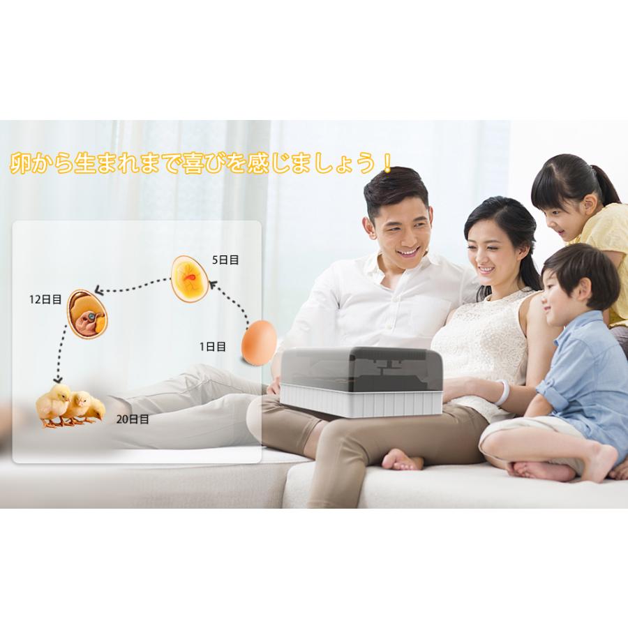 自動孵卵器 インキュベーター 恒温器 鳥類専用ふ卵器 孵化器 自動転卵式 アヒル 鶏卵 うずら 恒温孵化器 : Fuji-Phantom - 通販 - Yahoo!ショッピング