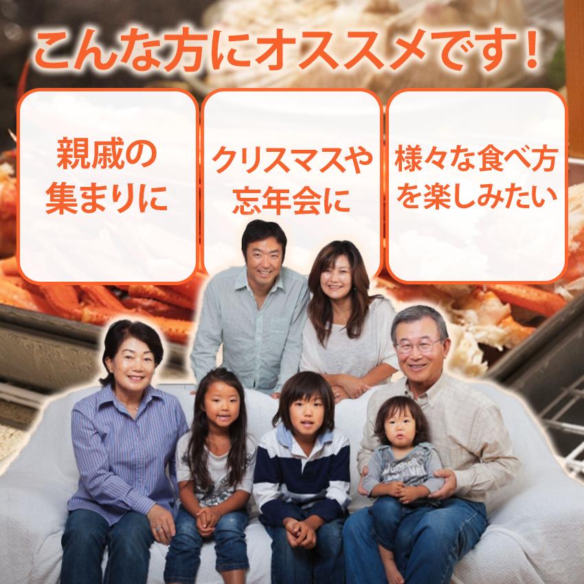 訳あり 冷凍 ボイルズワイガニ 脚 セクション 5kg 4Lサイズ 約13肩入り 350-400g/肩 送料無料 ずわい ずわい蟹 ズワイ蟹 茹でガニ 肩 鍋 冬 徳用 自宅用 家庭用 ...