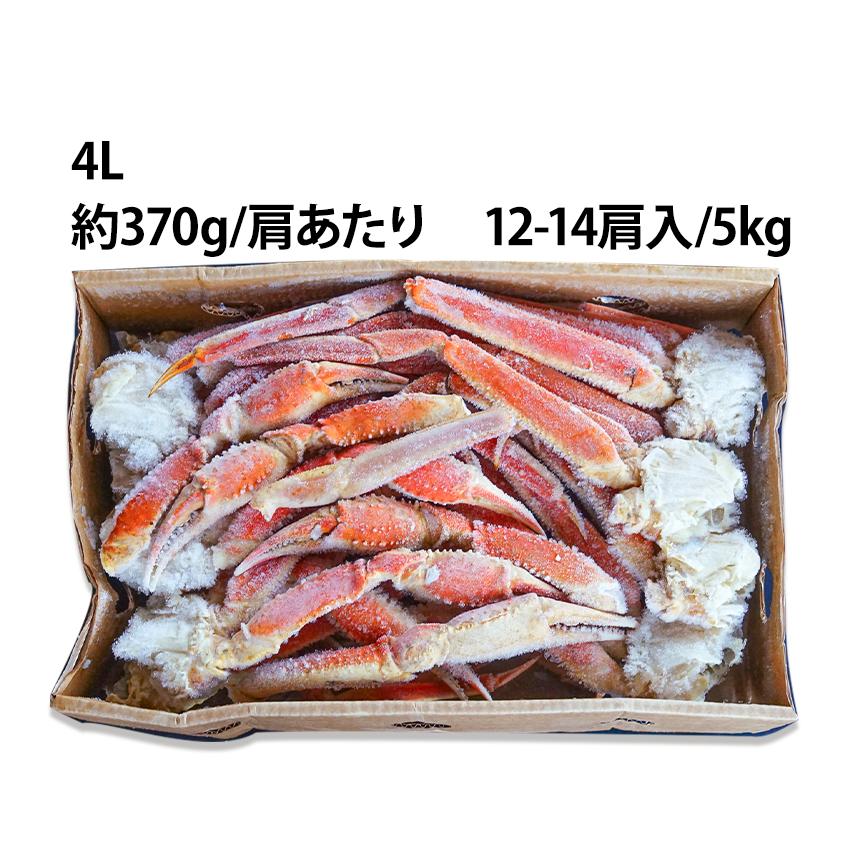 訳あり 冷凍 ボイルズワイガニ 脚 セクション 5kg 4Lサイズ 約13肩入り 350-400g/肩 送料無料 ずわい ずわい蟹 ズワイ蟹 茹でガニ 肩 鍋 冬 徳用 自宅用 家庭用 ...