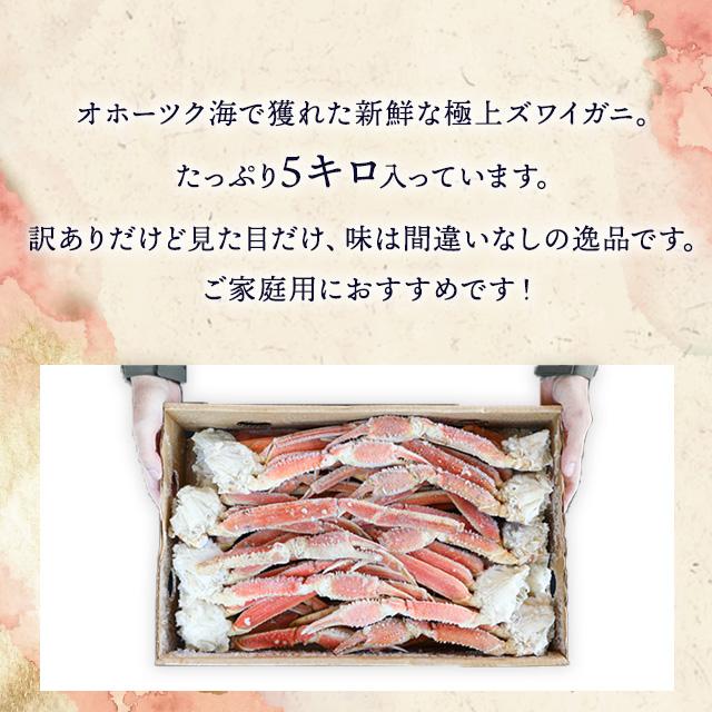 送料無料 冷凍 ボイルズワイガニ 脚 セクション 5kg 2L〜3Lサイズ相当 250-300g/肩 甲羅を除いた肩から足の部分 鍋 冬 徳用 グルメ :6111104090:海産王子 ...