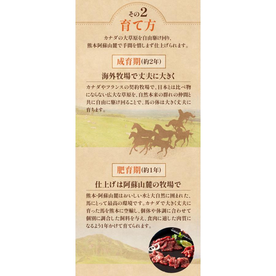 ふじ馬刺し 中トロ 80g×5P （たれ・生姜付） 肉 馬肉 霜降り 熊本 産地直送 御礼 贅沢 高級 フジチク おつまみ お取り寄せ 冷凍 高タンパク : 566 : 馬刺しと黒毛和牛の専門 ...