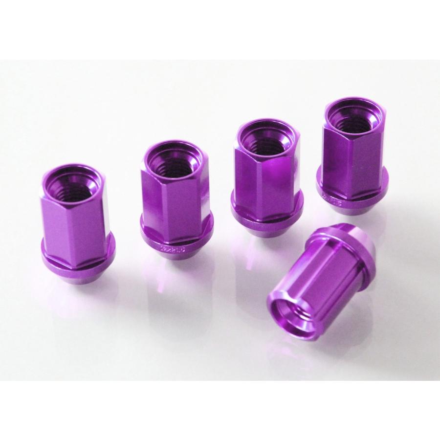 12X1.25 19HEX ジュラルミン冷間鍛造ナット＆ロックセット(カンツー パープル) : フジコーポレーション - 通販 - Yahoo!ショッピング