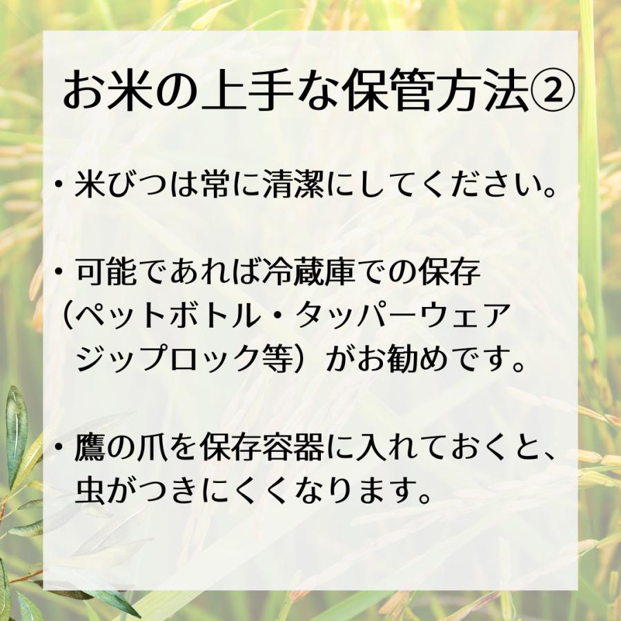 ミルキークイーン 京都丹波産ミルキークィーン 令和6年 玄米30Kg : 藤勝商店 - 通販 - Yahoo!ショッピング
