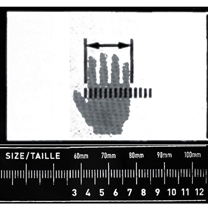 プレデター クローラー(EBO34-CF1350) キーパーグローブ キーパー手袋 ブラック×ユーティリティブラックF16アディダス ...