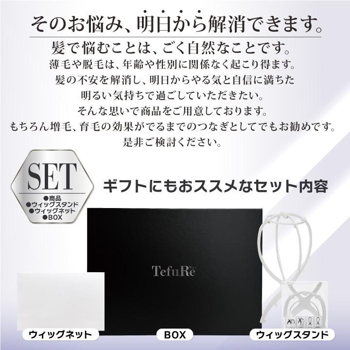 TefuRe（テフリ） ウィッグ メンズ 医療用ウィッグ 男性 メンズ