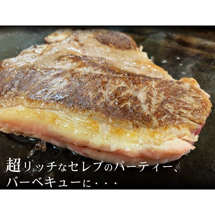 阿波牛 最高級黒毛和牛 A5 等級 Tボーンステーキ 1枚 約650g以上(平均750g)冷凍便でお届け ステーキ 骨付き 肉 国産 和牛 バーベキュー BBQ 焼肉 爆買 : 有限会社 阿波 ...