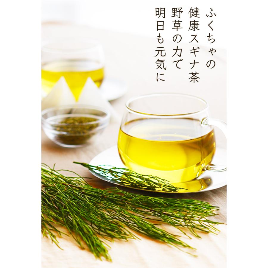 ふくちゃ すぎな茶 スギナ茶 国産 2g × 30包 60g ノンカフェイン 杉菜茶 すぎ菜茶 ミネラルの宝庫 天然 野草 健康茶 お茶 ティーバッグ : 健康茶通販ふくちゃ - 通販 ...