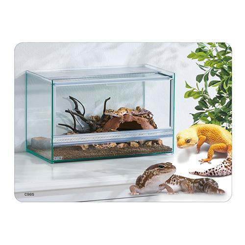 レプテリア クリアネオ 400Slim GEX(ジェックス) 爬虫類 両生類 ガラスケージ 飼育ケース トカゲ ヘビ カメ カエル レオパ : 福桃ランド - 通販 - Yahoo!ショッピング