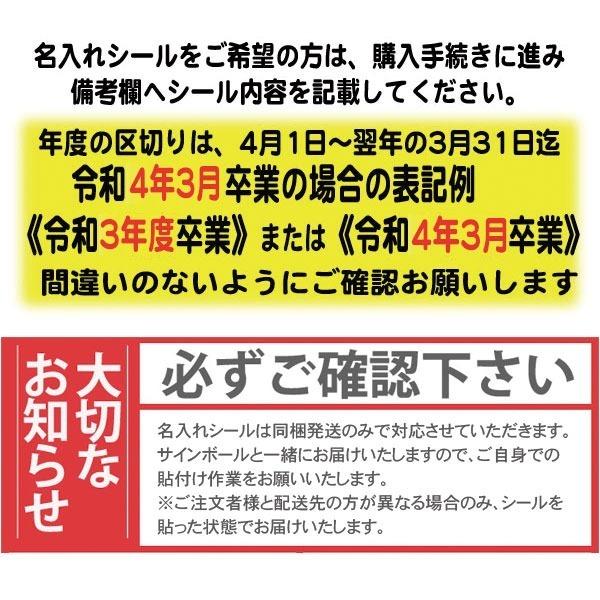 バスケットボール B2C501 モルテン molten 寄書き サインボール 卒業 卒部 引退 記念品 : 2013-molten-mnbb ...