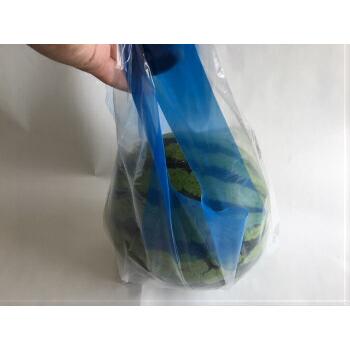 信和（包装資材） スイカポリ スイカ袋 青 大【大玉用】【50枚】0.06×260/400×510mm ポリエチレン Lサイズ(約6kg) 2L(約7kg) すいかポリ 西瓜袋 すいか袋 販売 ...