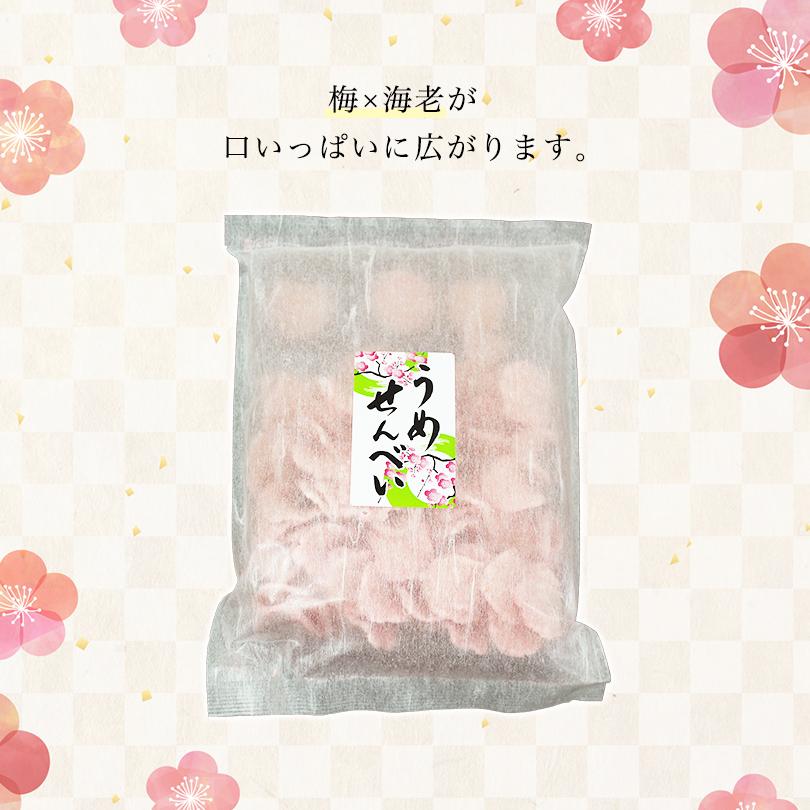 うめせんべい 64g入 梅 ウメ お菓子 おつまみ 煎餅 和菓子 お取り寄せ グルメ : bus-007 : 福梅ぼし Yahoo!店 - 通販 - Yahoo!ショッピング