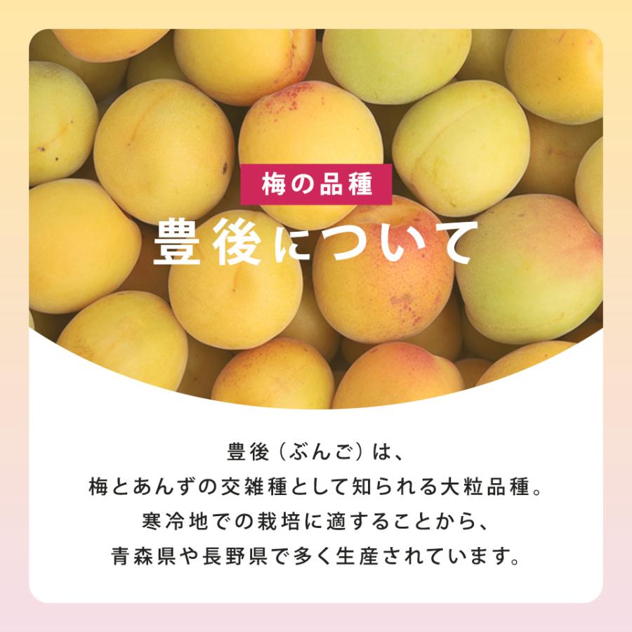 梅干し 訳あり つぶれ梅 くちゃ梅 しそ漬 300gX2パック (塩分約15％) 無添加 つぶれ梅 しそ漬 グルメ お取り寄せ グルメ メール便 :SF-030BX2:福梅ぼし Yahoo!店 ...