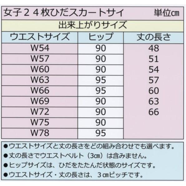 カンコー女子24枚車ひだスカート 紺 KN23060 （普通寸）ウエストW54・W57・W60・W63・W66・W69・W72・W75 丈の長 ...