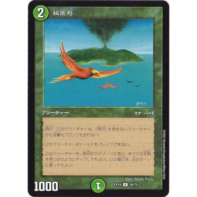 タカラトミー デュエルマスターズ/DMEX-18/29/R/極楽鳥 : フルアヘッド - 通販 - Yahoo!ショッピング