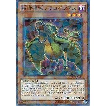 コナミデジタルエンタテインメント 遊戯王 第9期 SPFE-JP003 捕食植物プテロペンテス【パラレル】 : フルアヘッド - 通販 - Yahoo!ショッピング