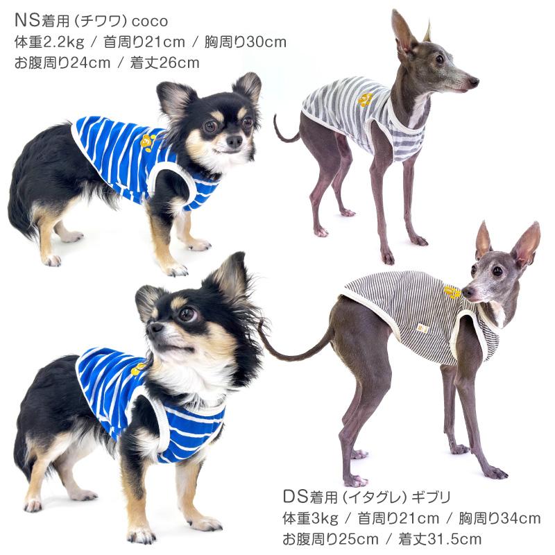 full of vigor 先染め天竺ボーダータンク(ダックス・小型犬用) : 犬の服 full of vigor ヤフー店 - 通販 - Yahoo!ショッピング