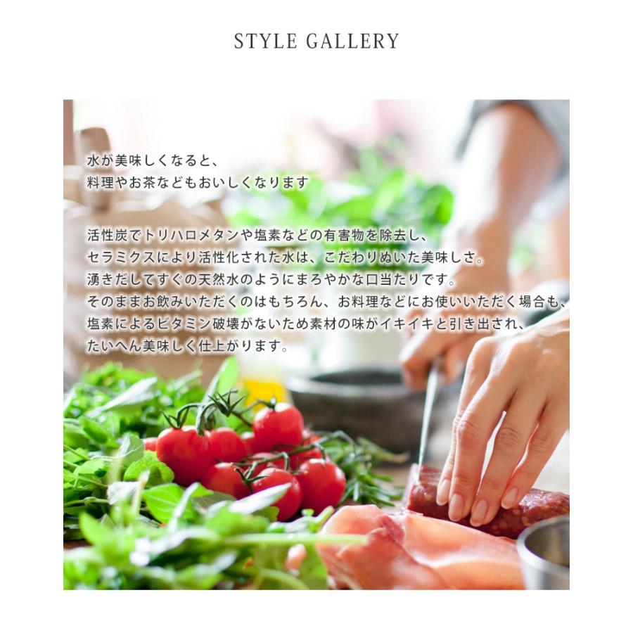 正規代理店商品ウェル21 400K型 浄水器本体 初回分カートリッジ付き 給水装置 戸建て 集合住宅 兼用 家庭用 セントラル浄水器 ウェル21シリーズ : ユニークギフトジャパン - 通販 ...