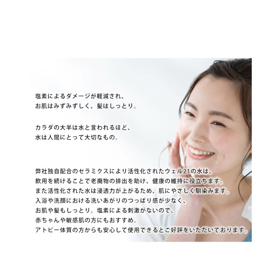 正規代理店商品ウェル21 400K型 浄水器本体 初回分カートリッジ付き 給水装置 戸建て 集合住宅 兼用 家庭用 セントラル浄水器 ウェル21シリーズ : ユニークギフトジャパン - 通販 ...