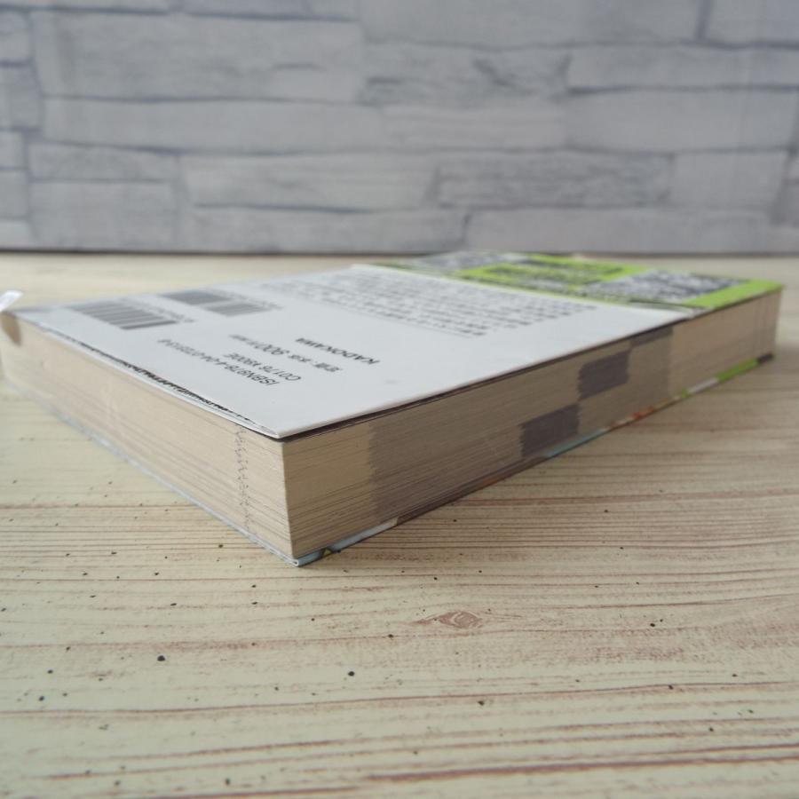 ソード・ワールド2.0 ラクシアゴッドブック 北沢慶とグループSNE 富士見書房 : FUNFUNほうむず - 通販 - Yahoo!ショッピング