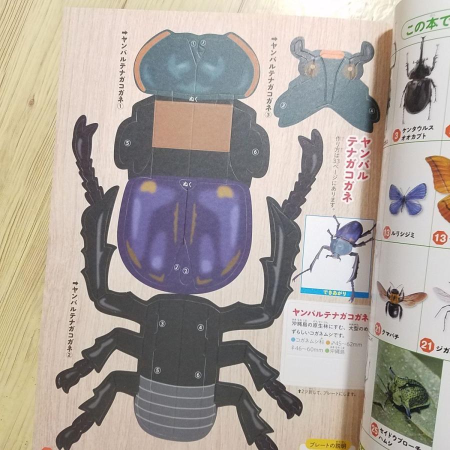紙工作[小学館の図鑑NEOのクラフトぶっく りったい昆虫館 パート3] ペーパークラフト : FUNFUNほうむず - 通販 - Yahoo ...