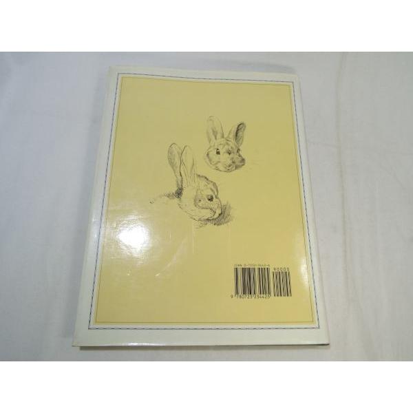 That Naughty Rabbit : BEATRIX POTTER AND PETER RABBIT JUDYTAYLOR WARNE ...